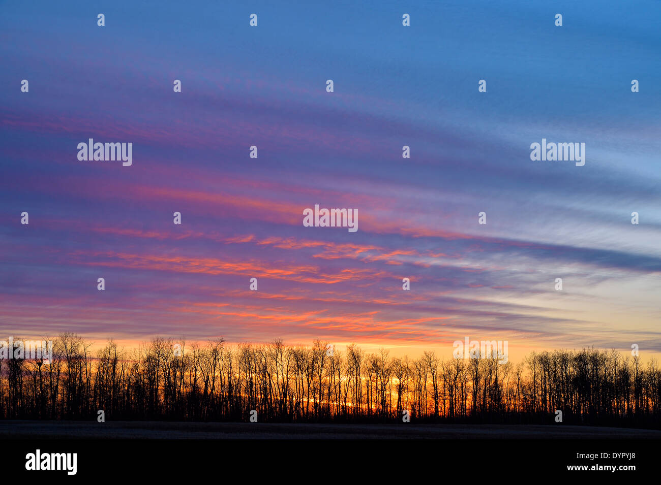 Canada silhouette hi-res stock photography and images - Alamy