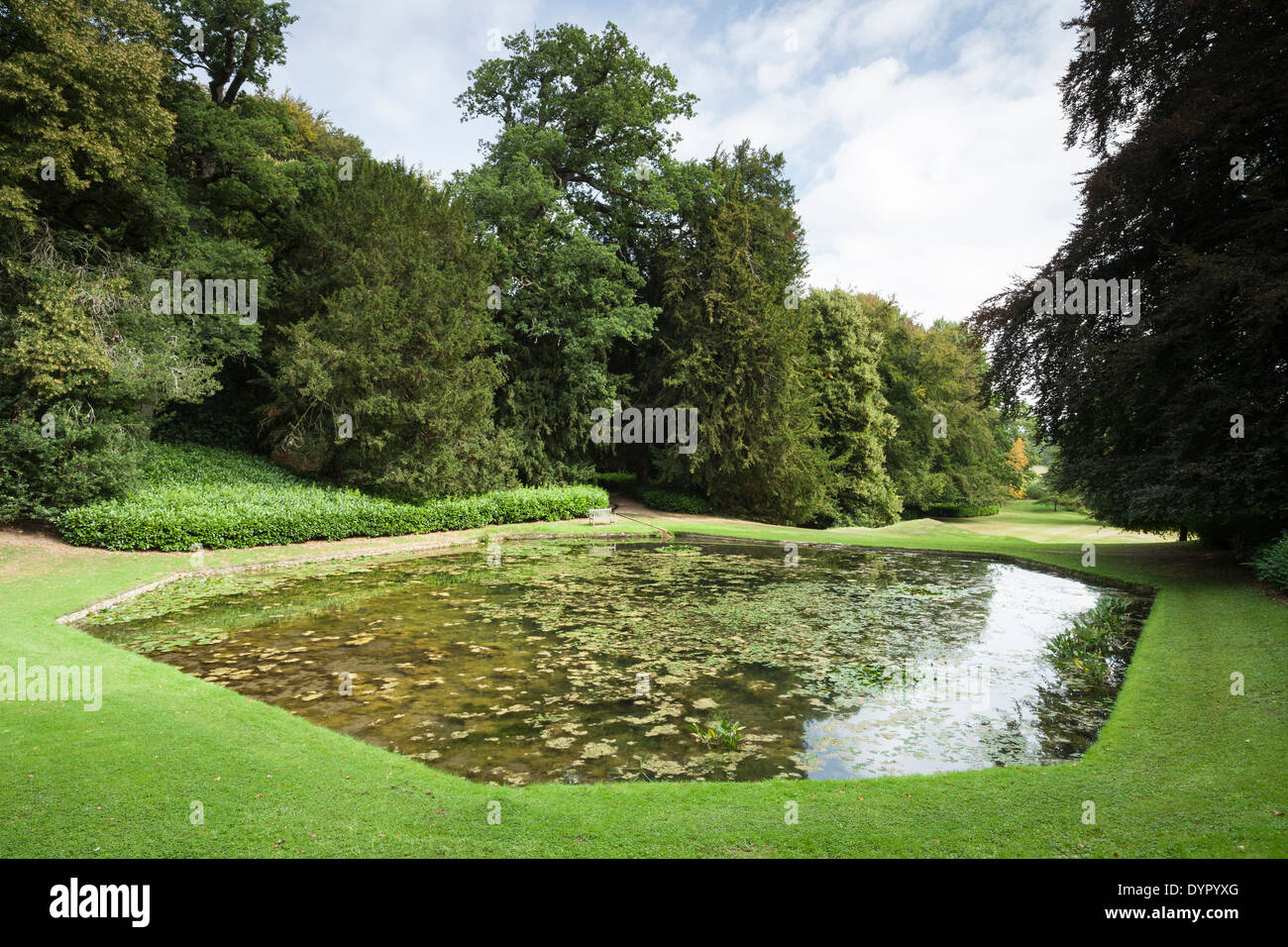 A slightly elevated view of the large ornamental octagonal pond in ...
