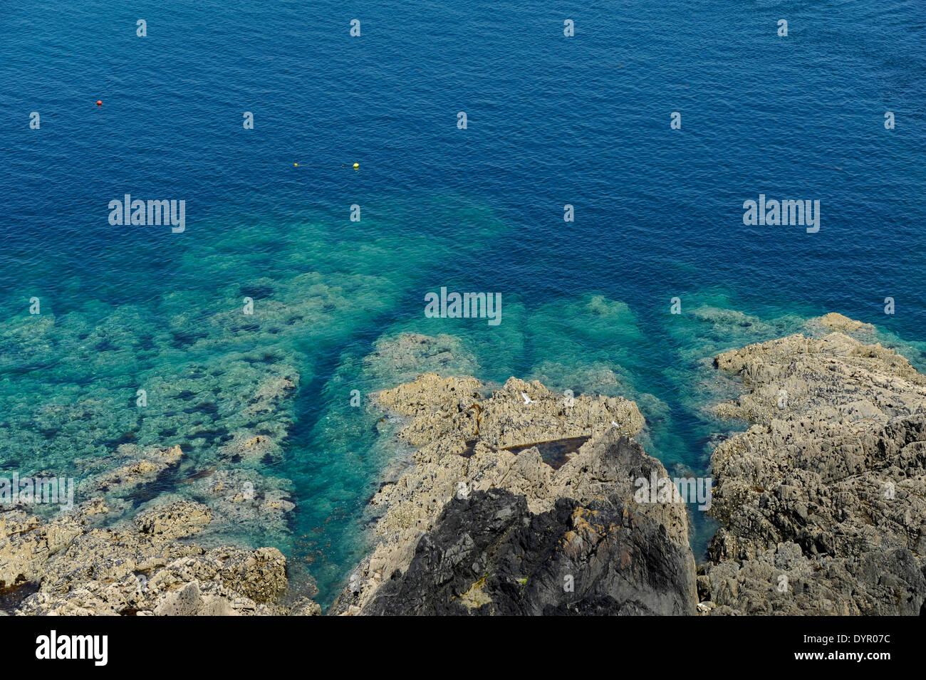 Pointe de Minard near Paimpol,Cotes-d'Armor,Bretagne,Brittany,France ...