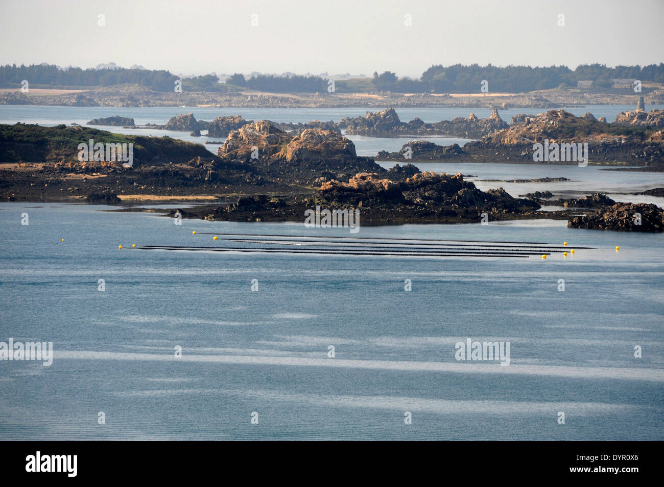 Arcouest point near Paimpol,Cotes-d'Armor,Bretagne,Brittany,France ...
