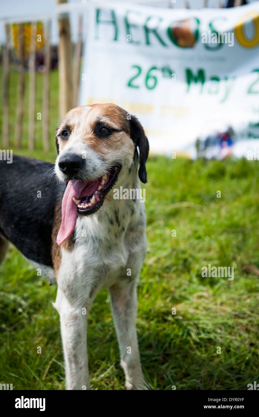 Very long tongue hi-res stock photography and images - Alamy