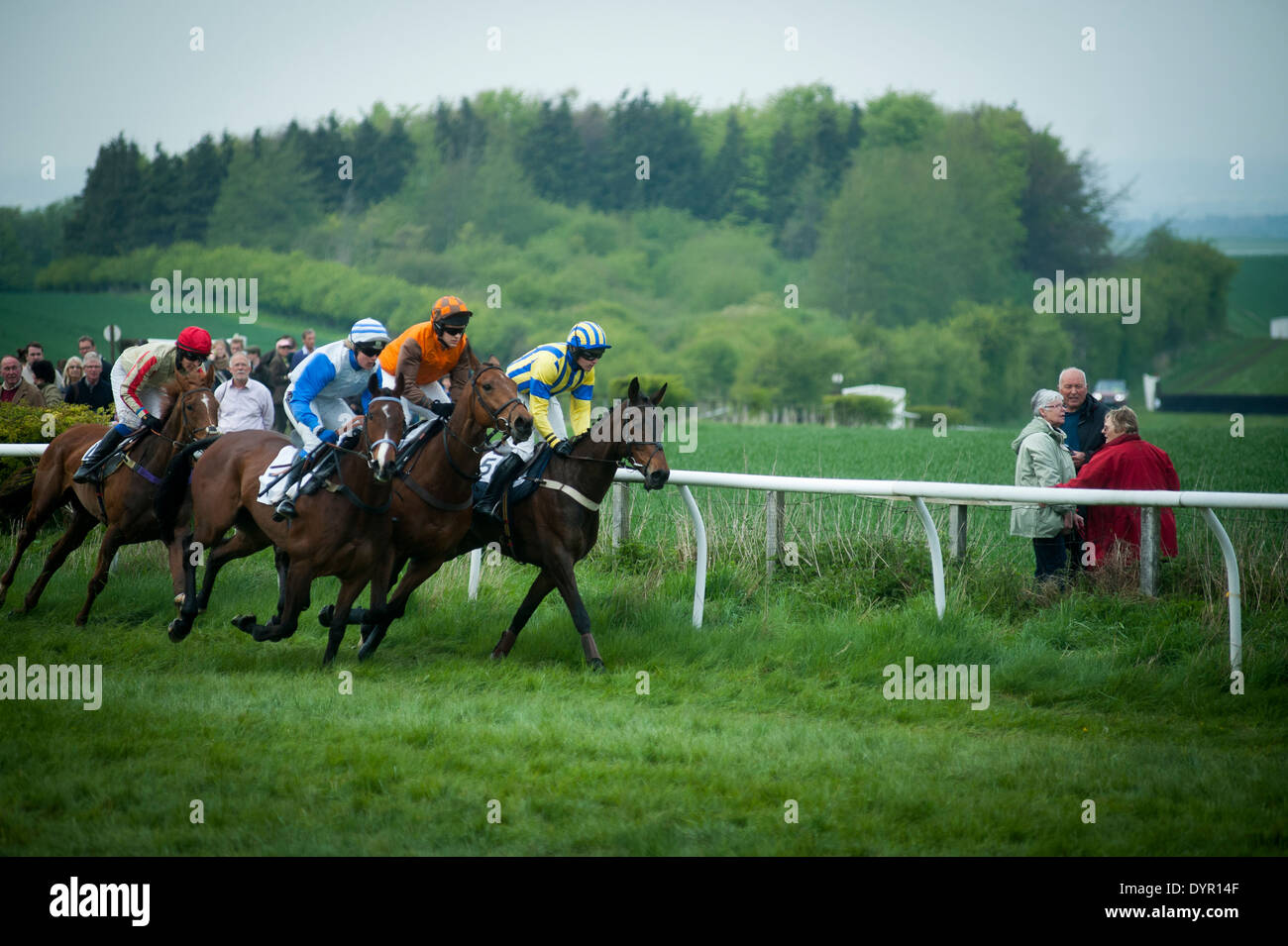 Point to point horse uk hi-res stock photography and images - Alamy
