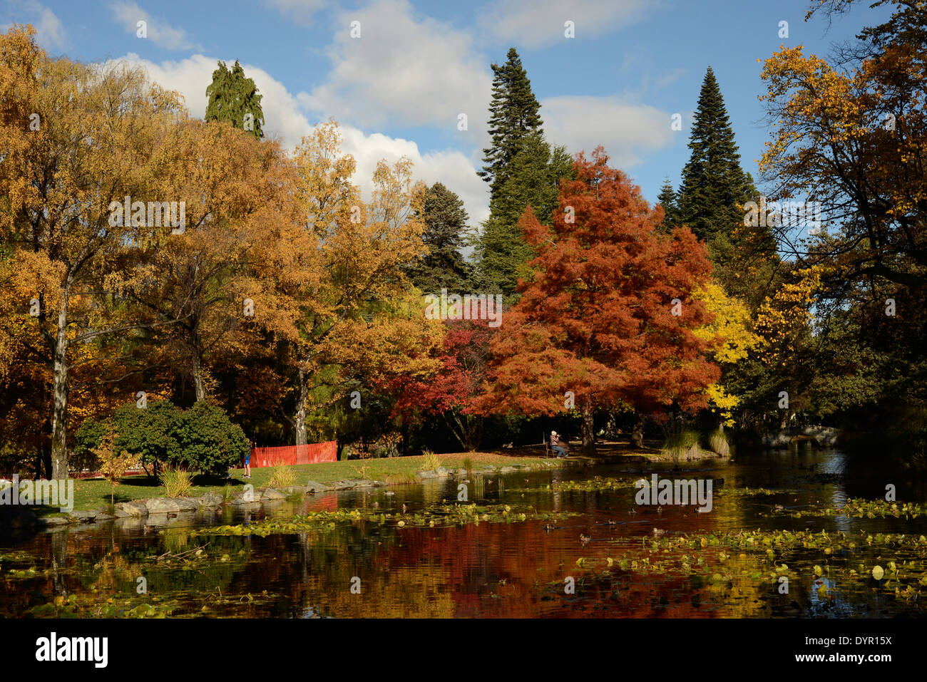 Autumn colours, Queenstown Gardens, Queenstown, South Island, New ...