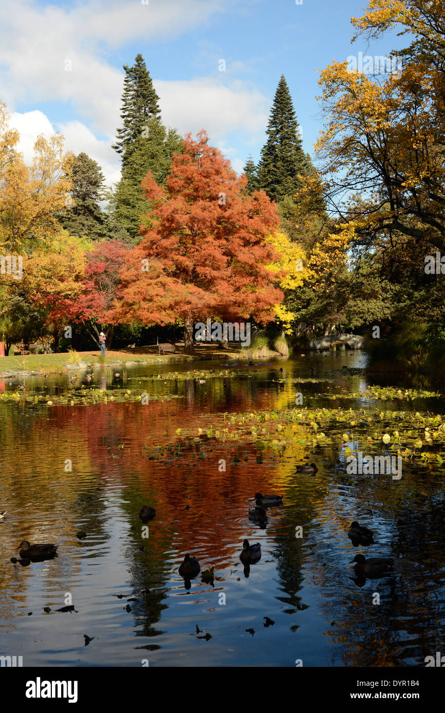Autumn colours, Queenstown Gardens, Queenstown, South Island, New ...