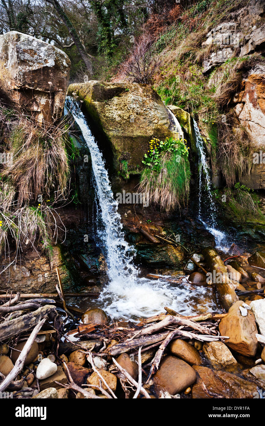 Hayburn Wyke waterfall onto the beach, along The Cleveland Way National ...