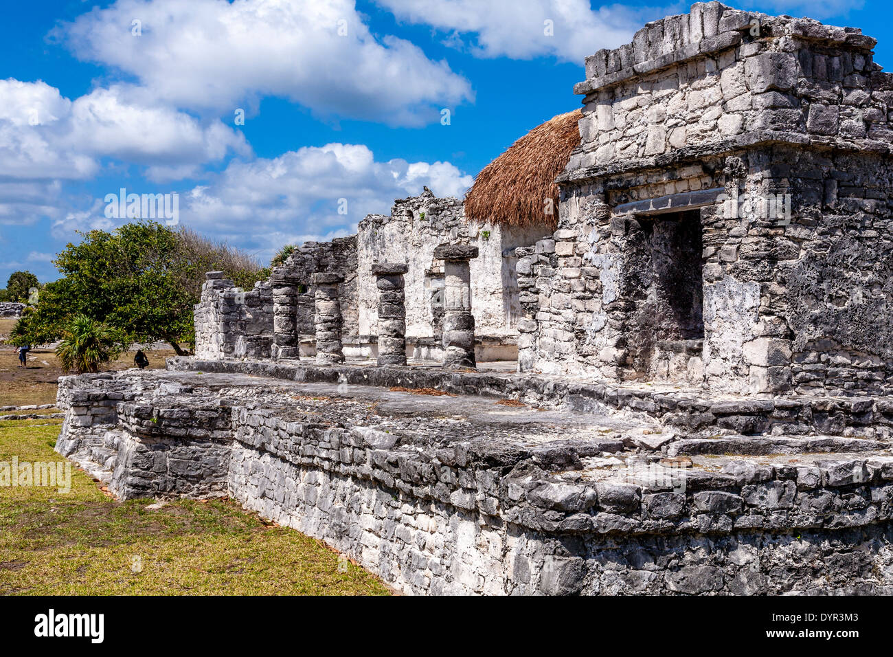 Tulum Archaeological Site, Quintana Roo, Mexico Stock Photo - Alamy