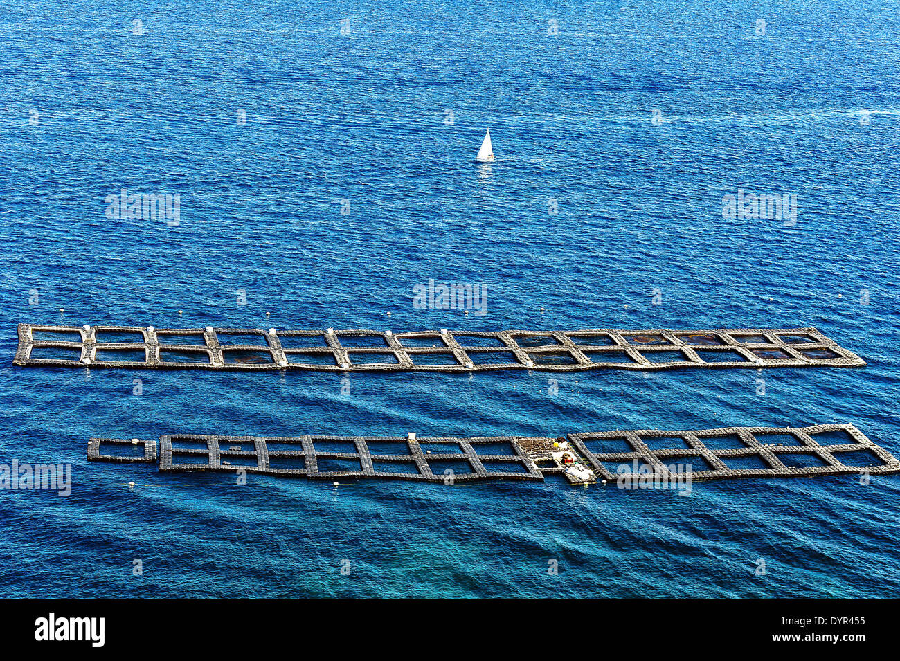 Europe, France, Var, Cornice of Esterel. Saint-Raphael. Fish culture ...
