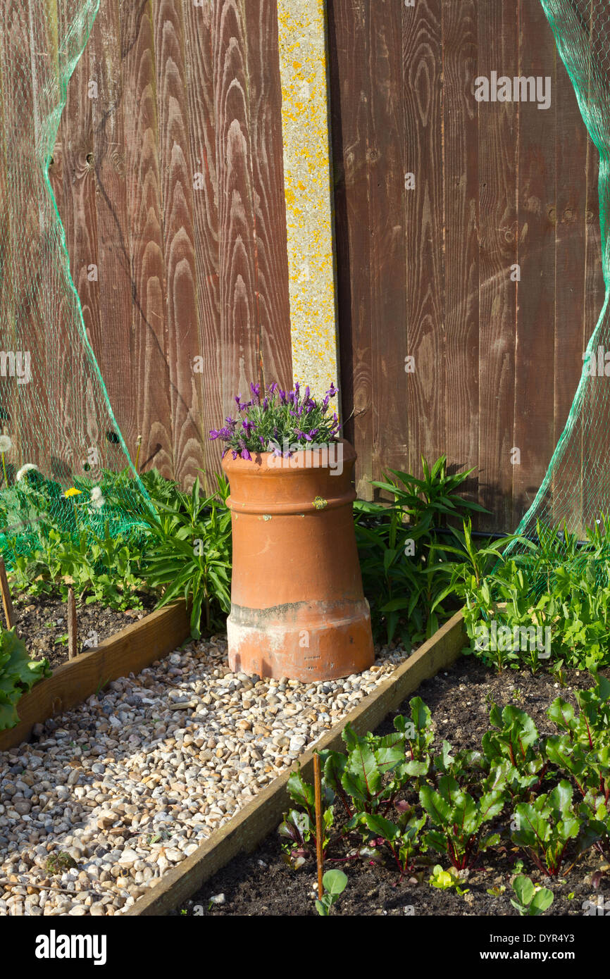 Uk garden chimney pot hi-res stock photography and images - Alamy