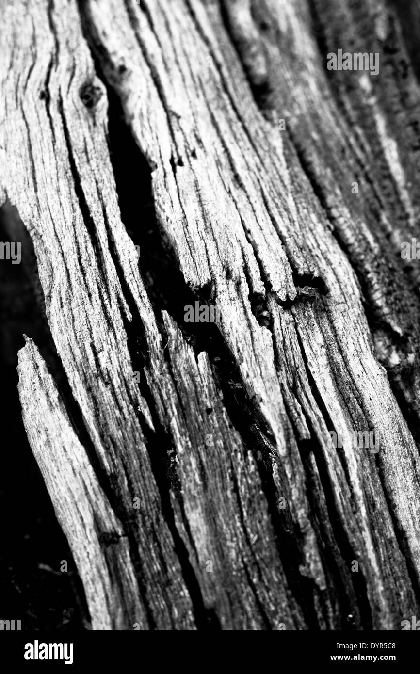 Abstract lines hi-res stock photography and images - Alamy