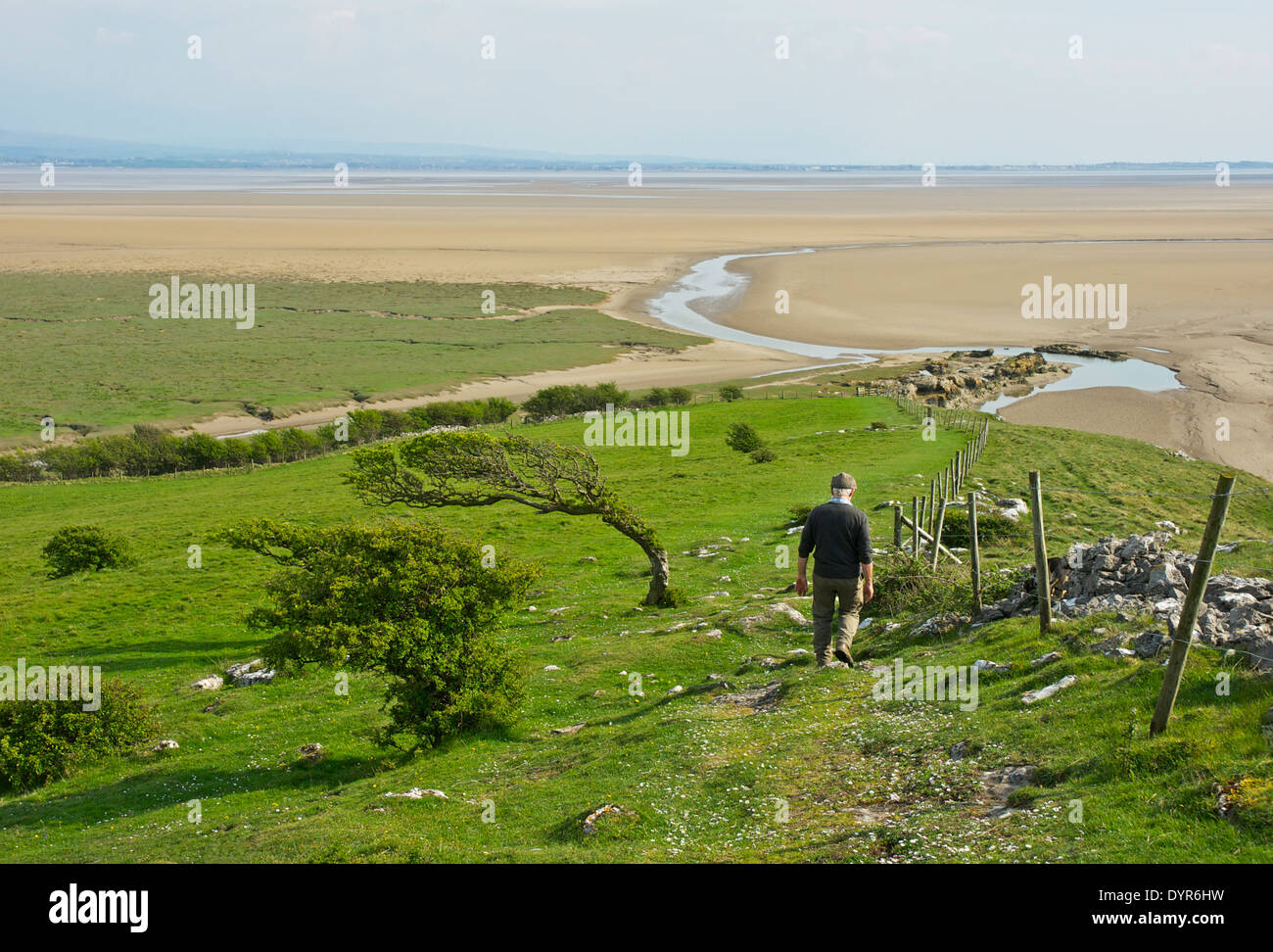 Senior man walking on Humphrey Head, a limestone promontory in South ...