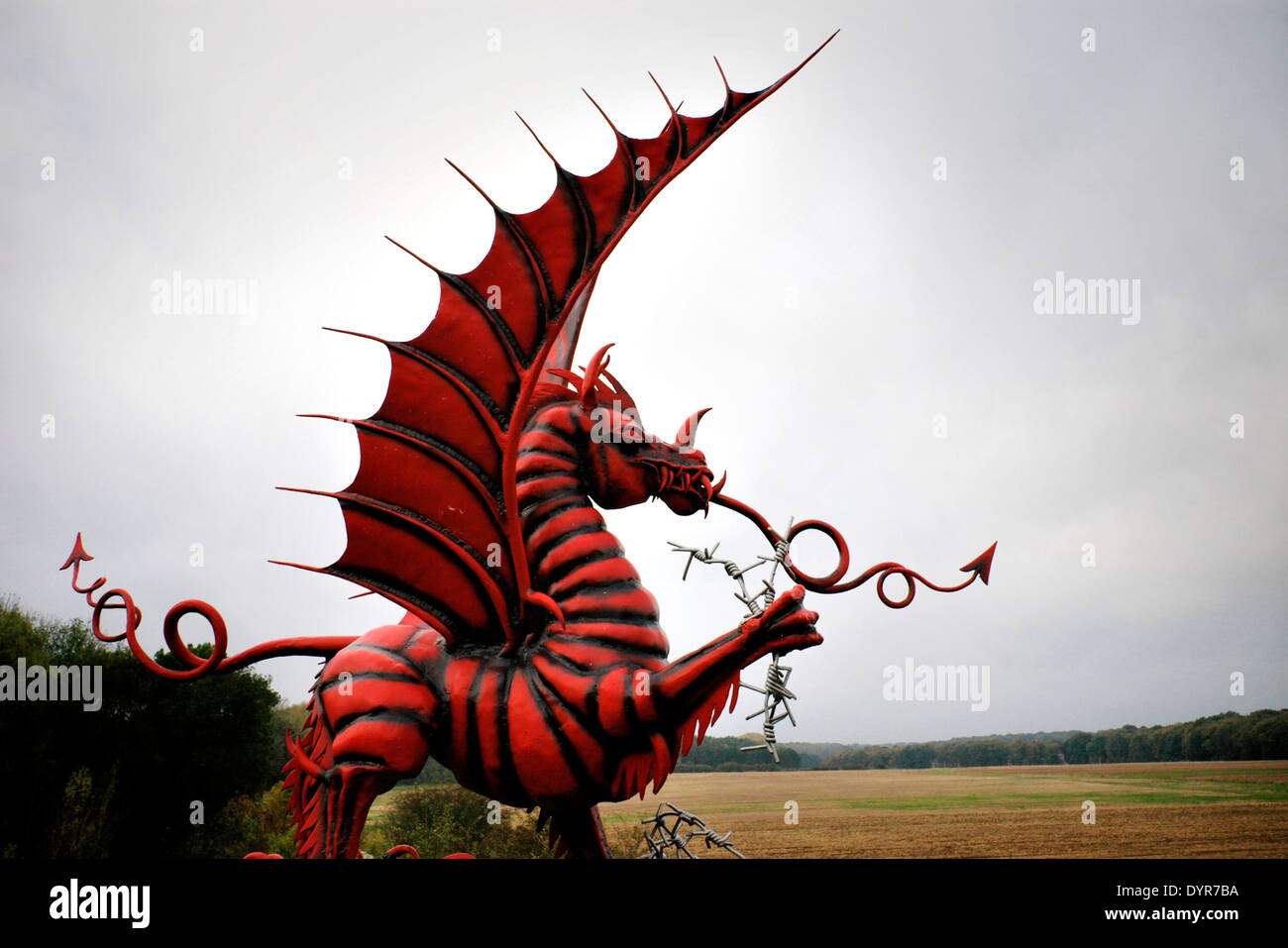 Welsh dragon hi-res stock photography and images - Alamy