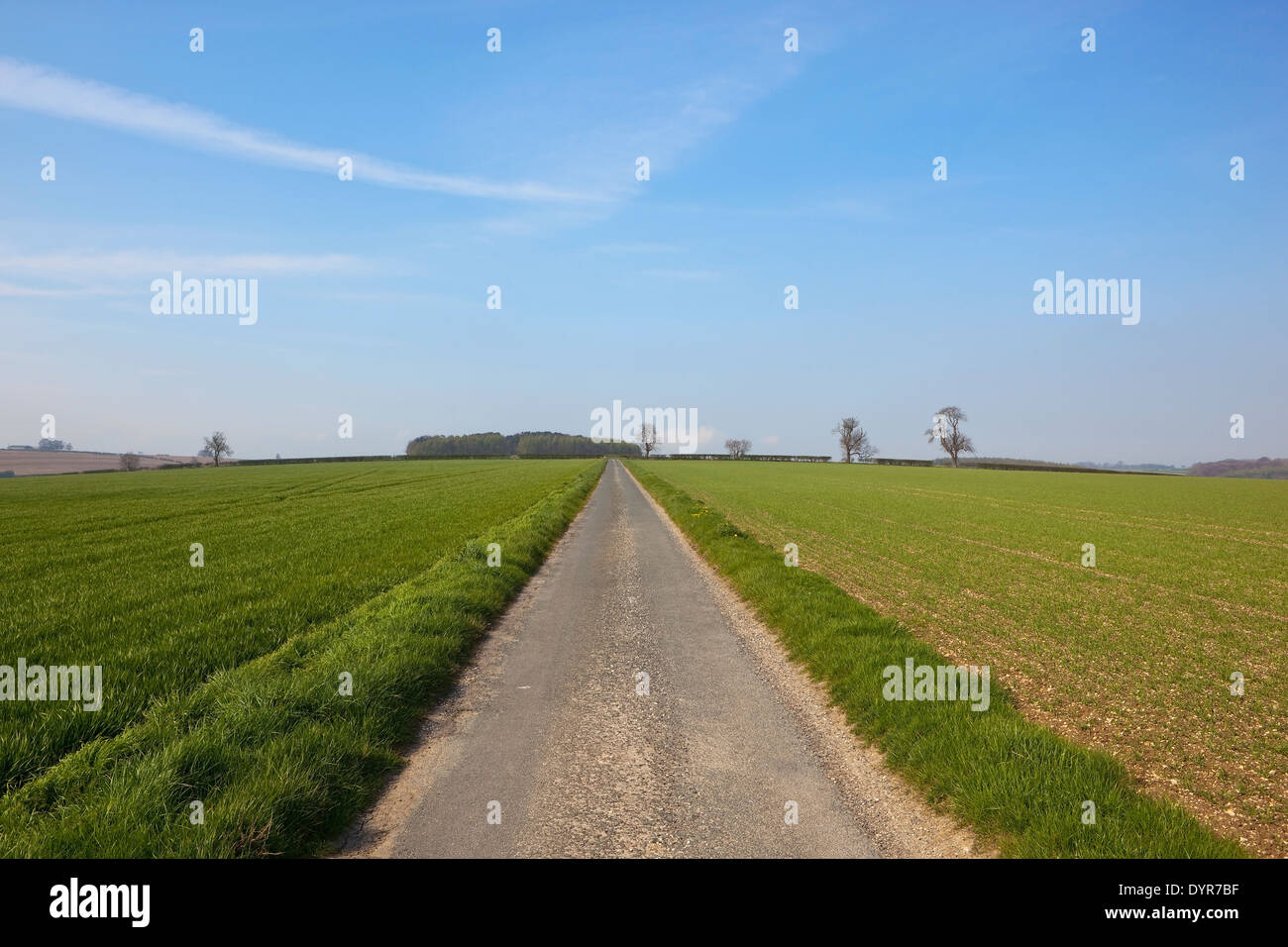 A small country road running through agricultural countryside with ...