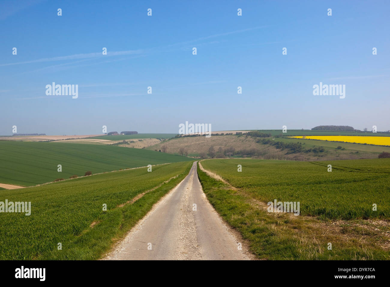 A small country road running through Burdale in the agricultural ...
