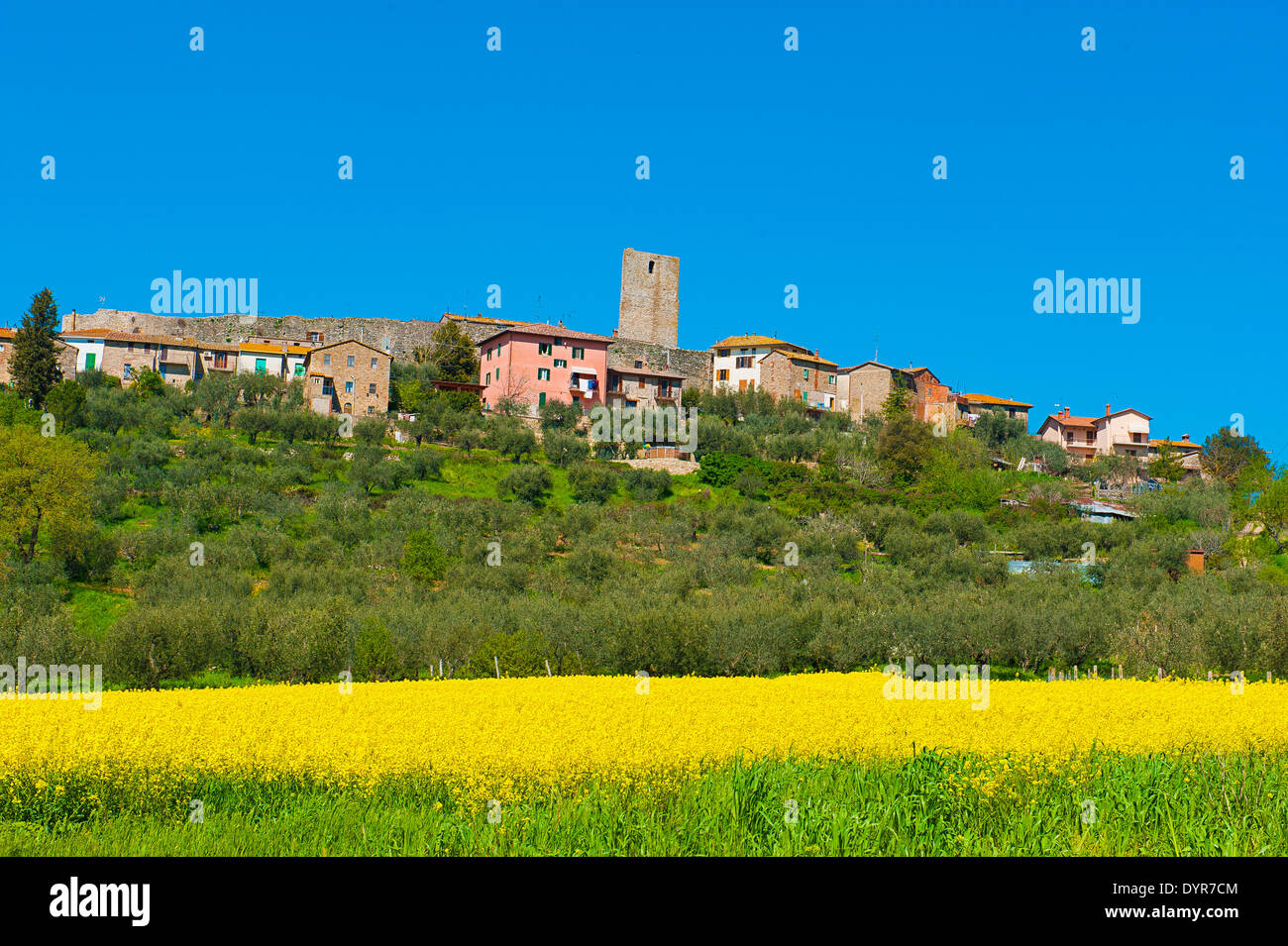 Monte del Lago, Trasimeno lake, Umbria, green heart of Italy. The ...