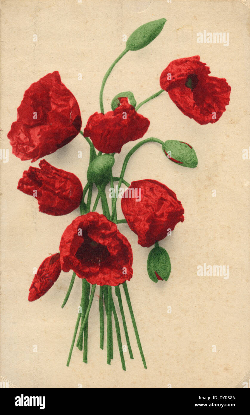 Poppy remembrance illustration uk hi-res stock photography and images ...