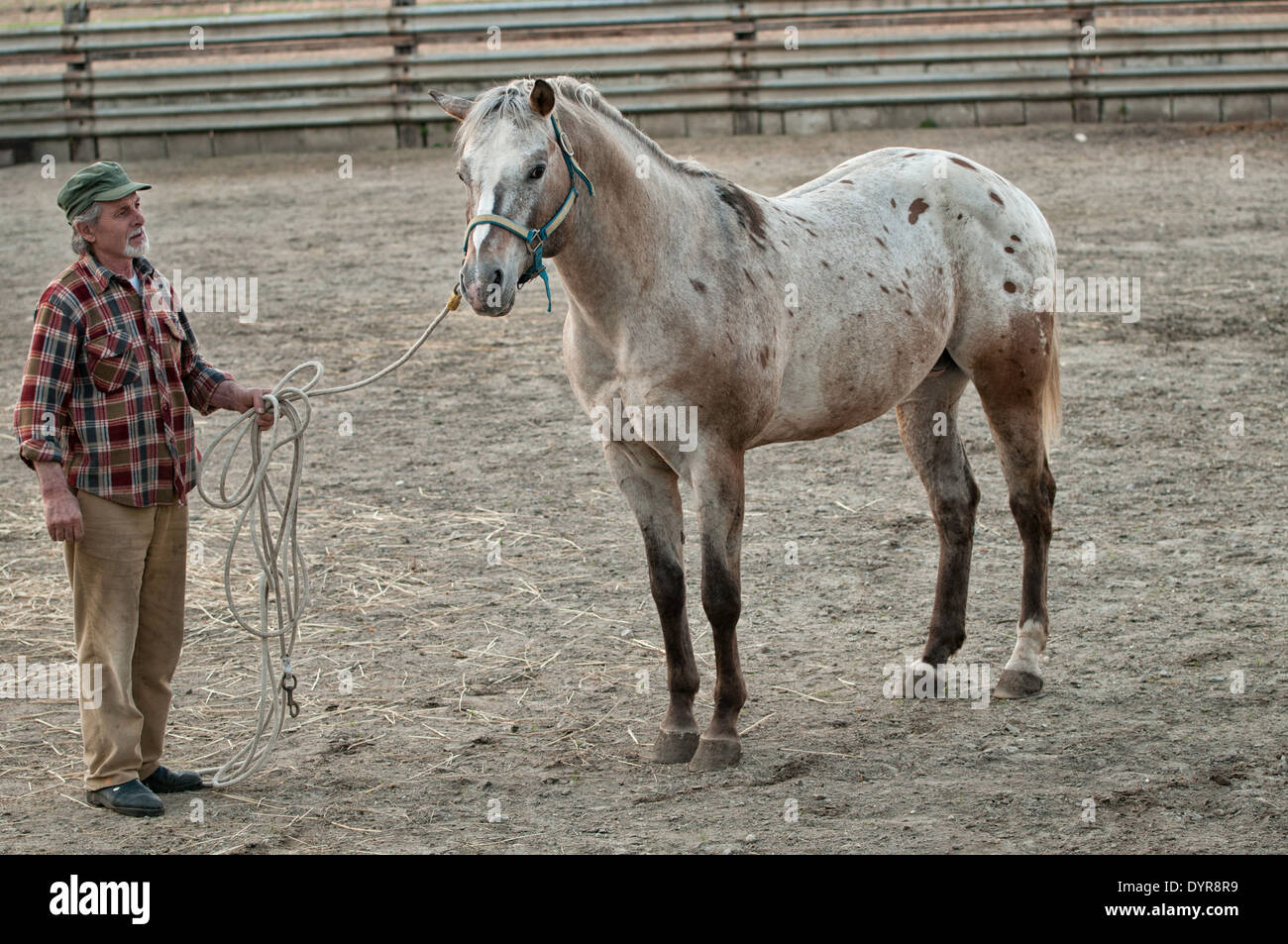 A man and his horse Stock Photo - Alamy