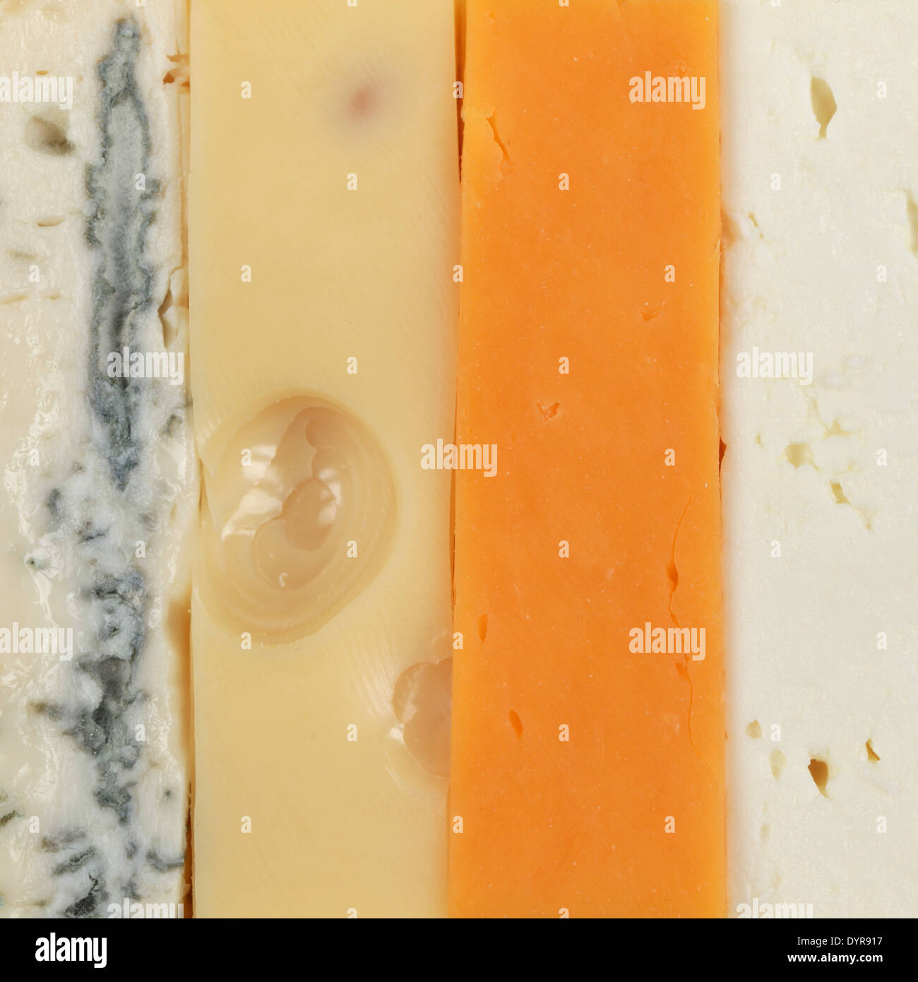Four different types of cheese such as Leerdammer, Cheddar and ...