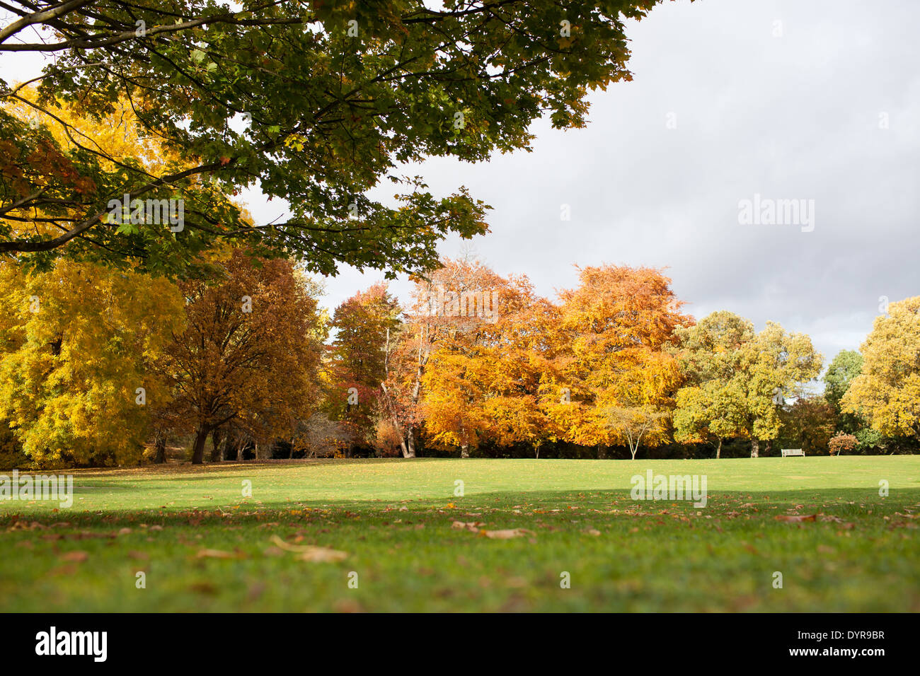 Surrey in colour hi-res stock photography and images - Alamy