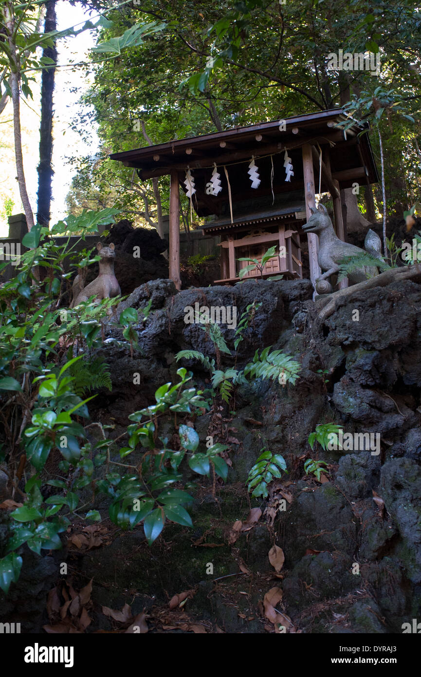 Inari Statues At Hikawa Shrine, Tokyo, Japan Stock Photo - Alamy