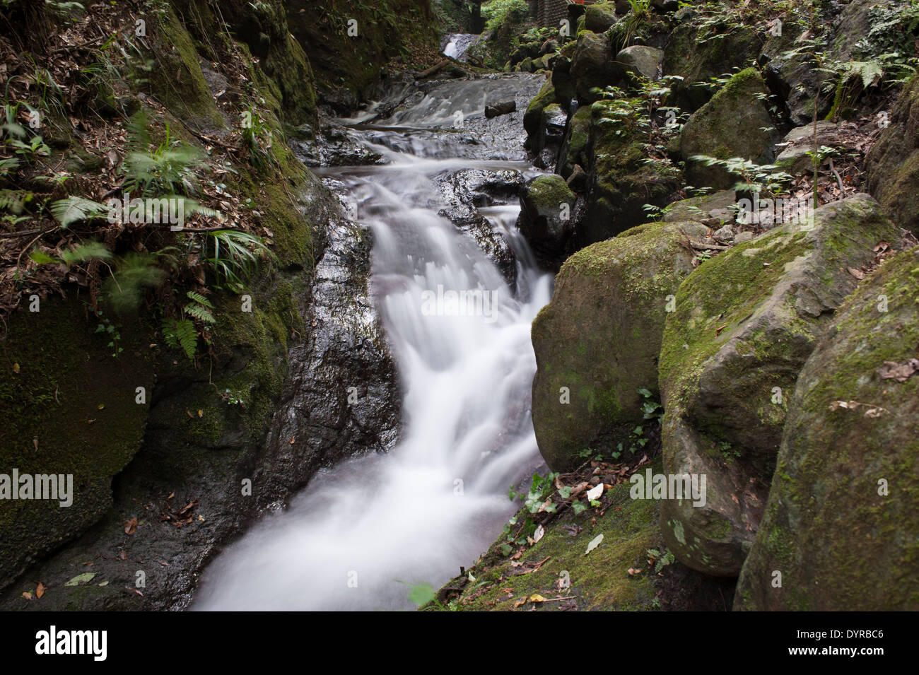 Water Stream Near Odawara, Kanagawa Prefecture, Japan Stock Photo - Alamy