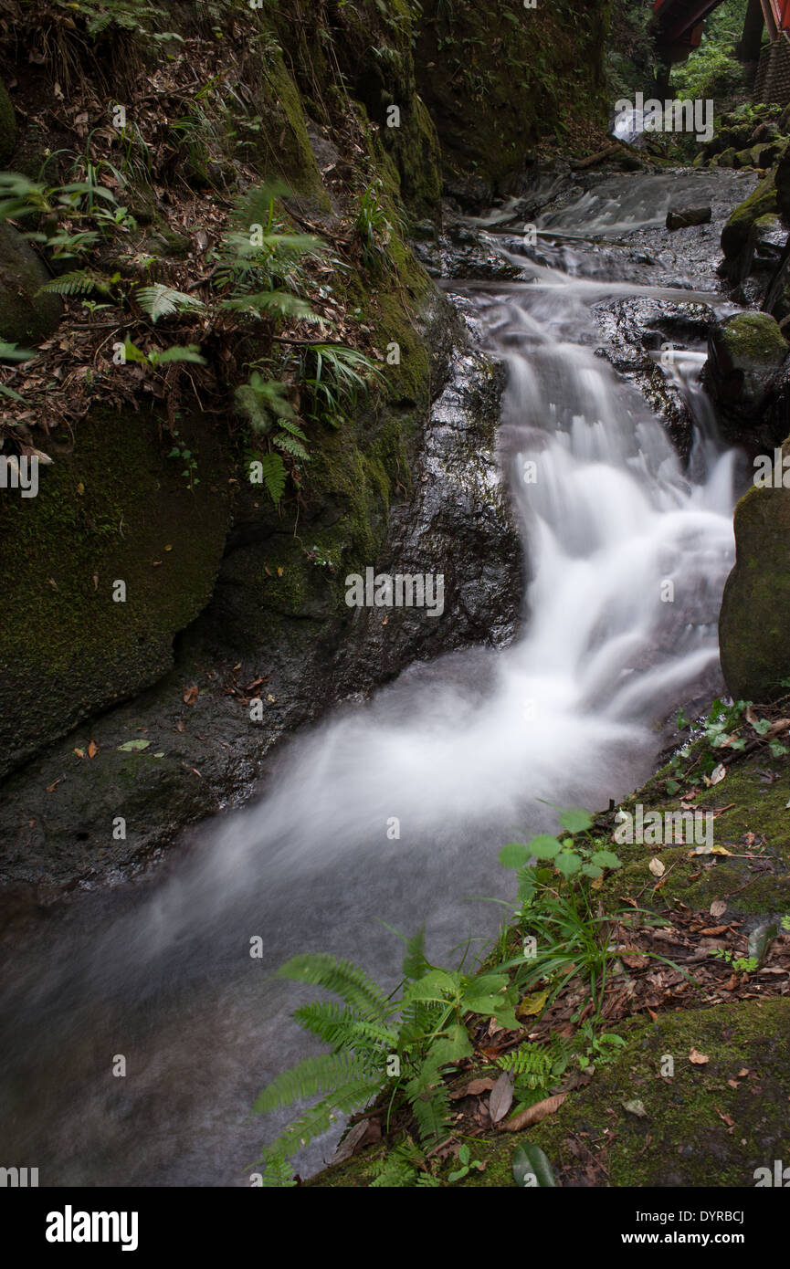 Water Stream Near Odawara, Kanagawa Prefecture, Japan Stock Photo - Alamy