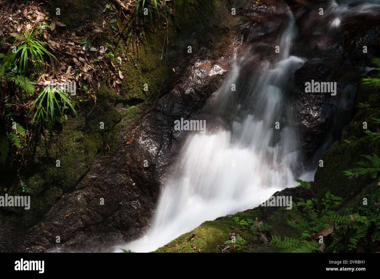 Water Stream Near Odawara, Kanagawa Prefecture, Japan Stock Photo - Alamy