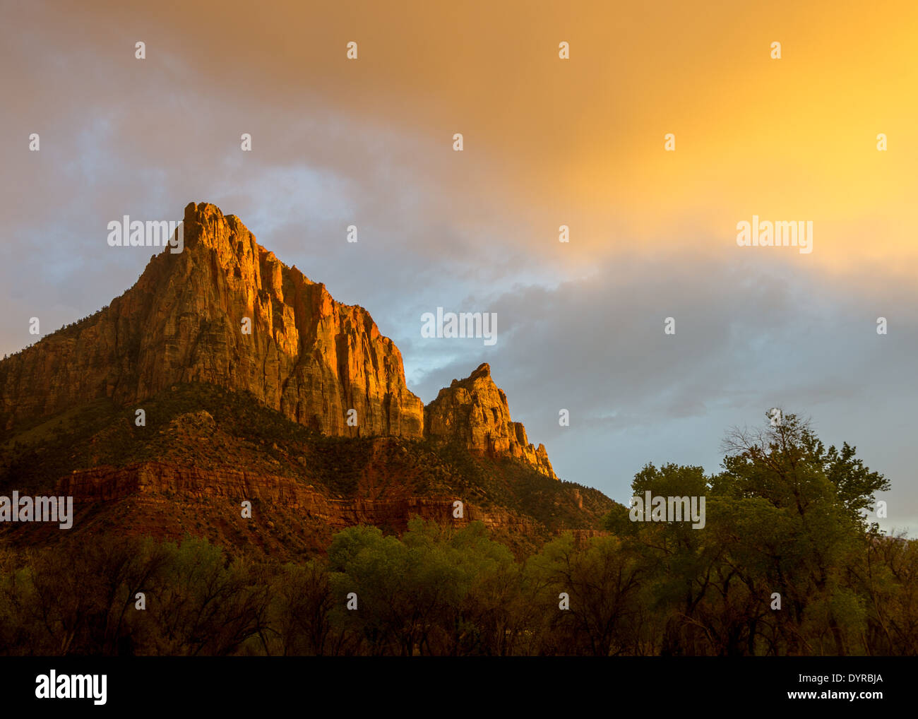 The watchman, zion national park hi-res stock photography and images ...