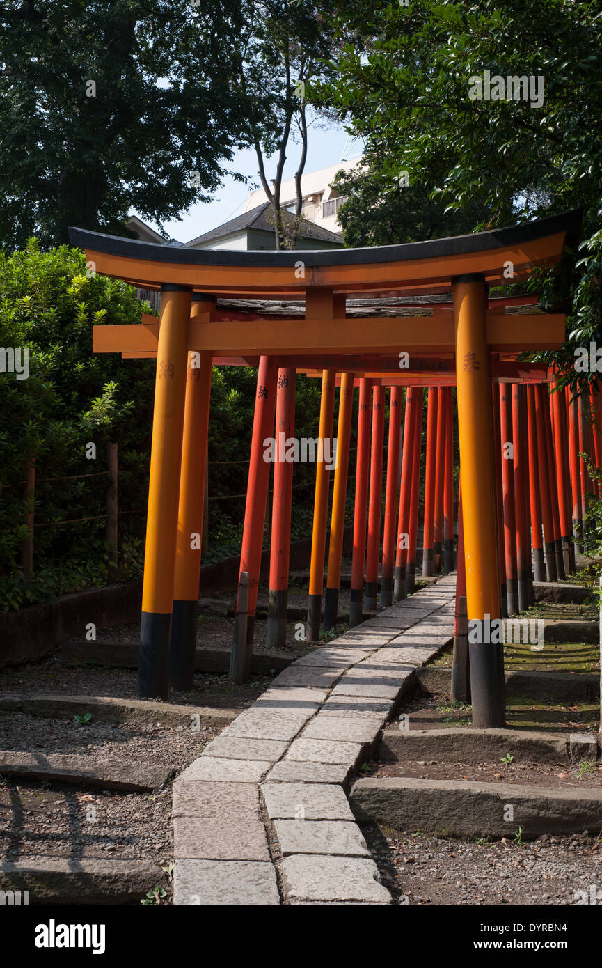 Torii gates at Nezu shrine in Nezu, Tokyo, Japan Stock Photo - Alamy