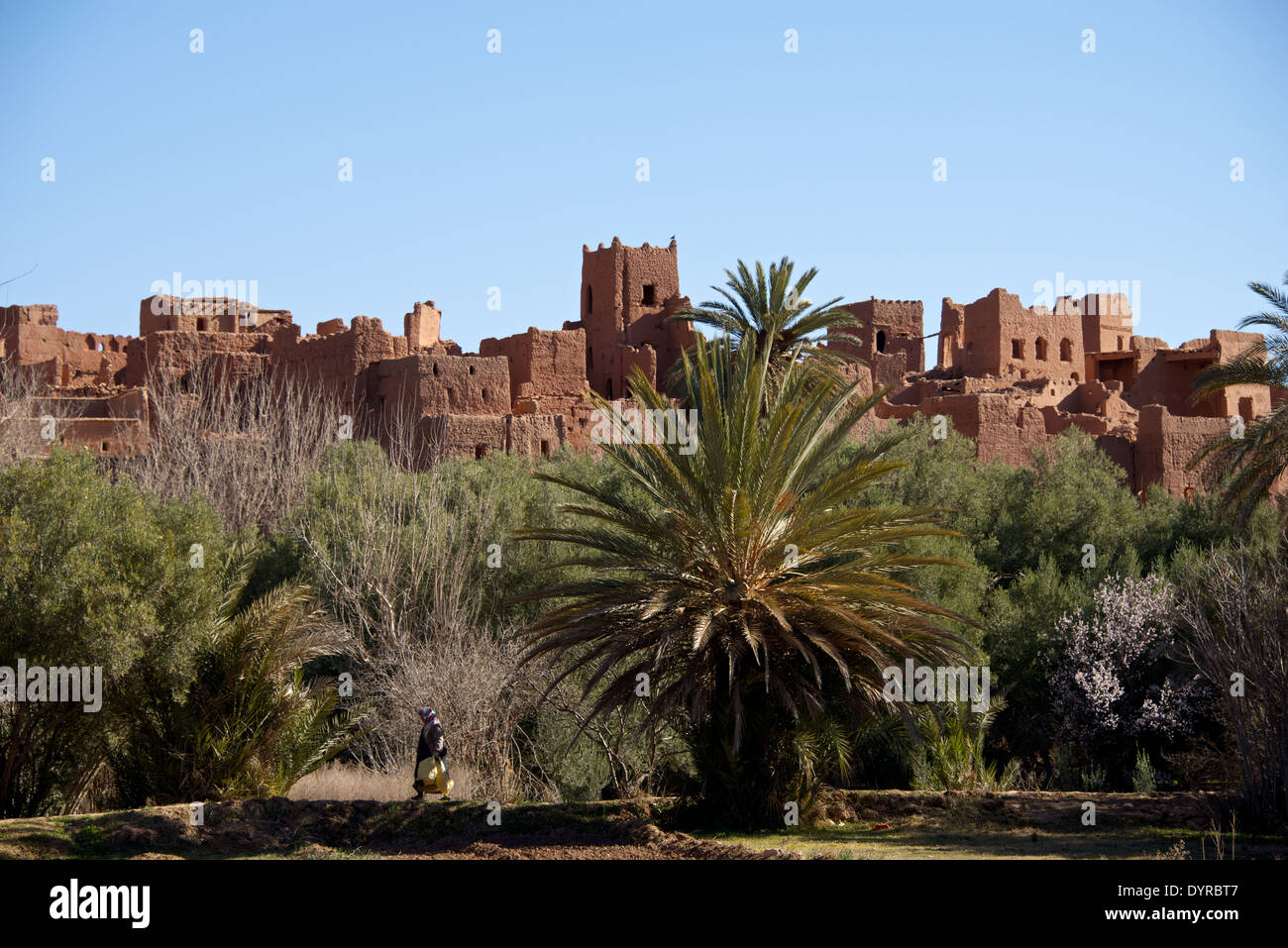 A walk in the Oasis Stock Photo - Alamy