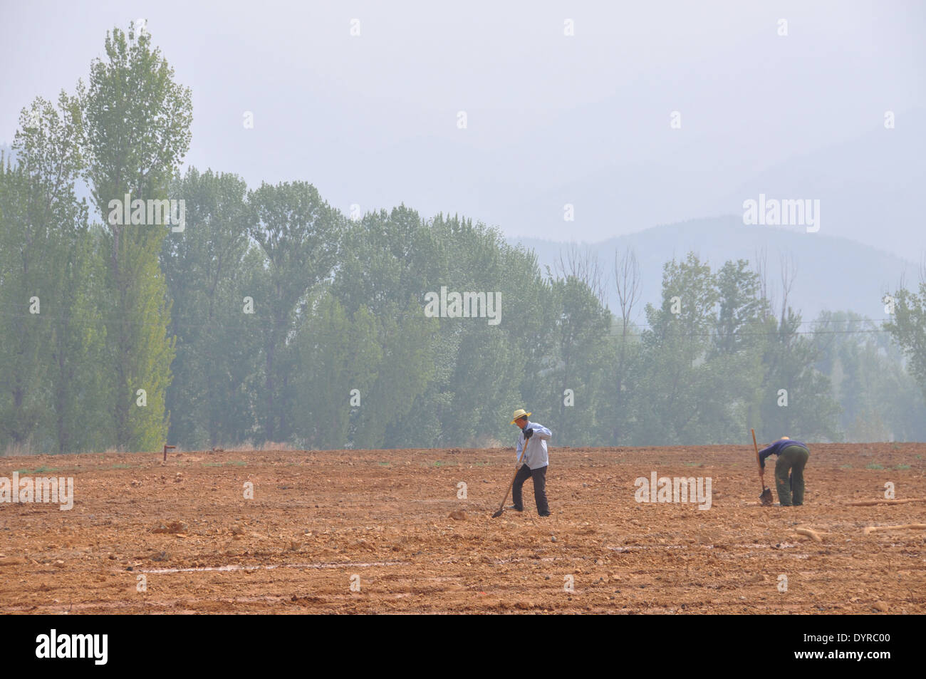China agriculture plough hi-res stock photography and images - Alamy