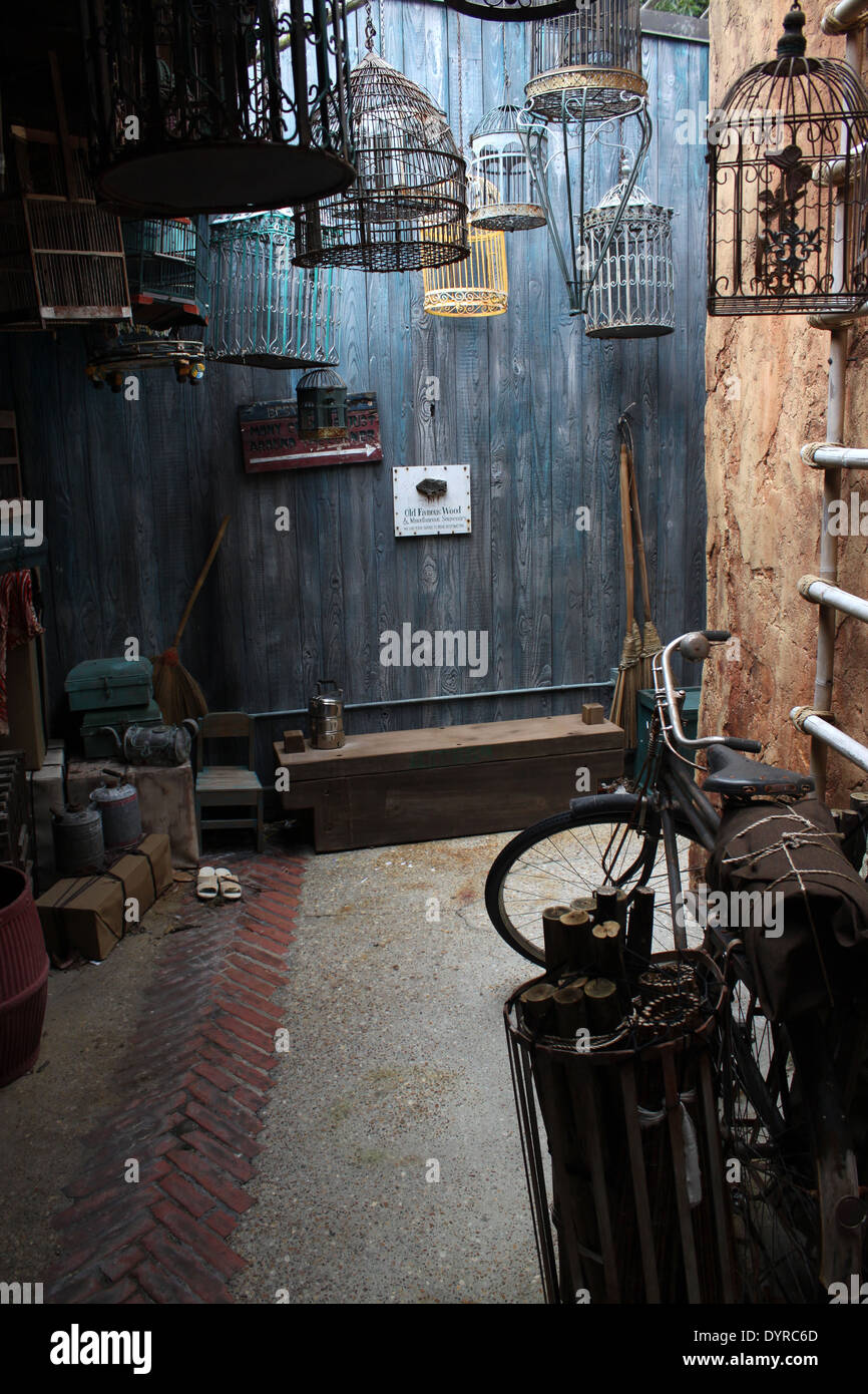 Bird cages and bicycle in a makeshift store in Indian pavilion, Disney ...