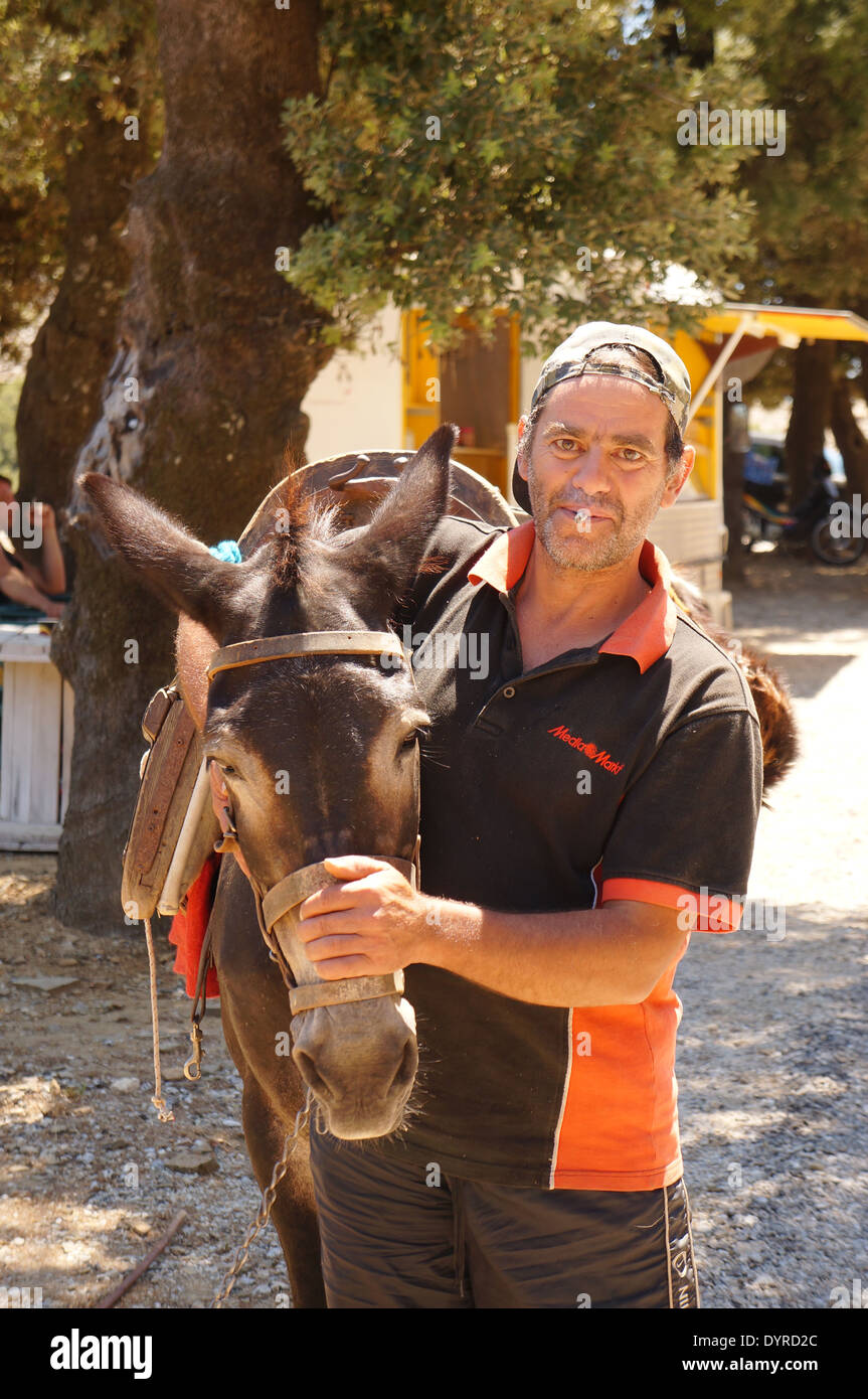 Man holds the head of his donkey Stock Photo - Alamy