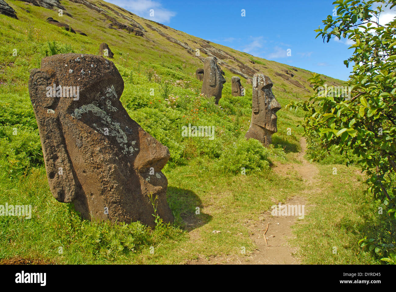 Rapa Nui, Easter Island Moai statues, South Pacific islands, Chile ...