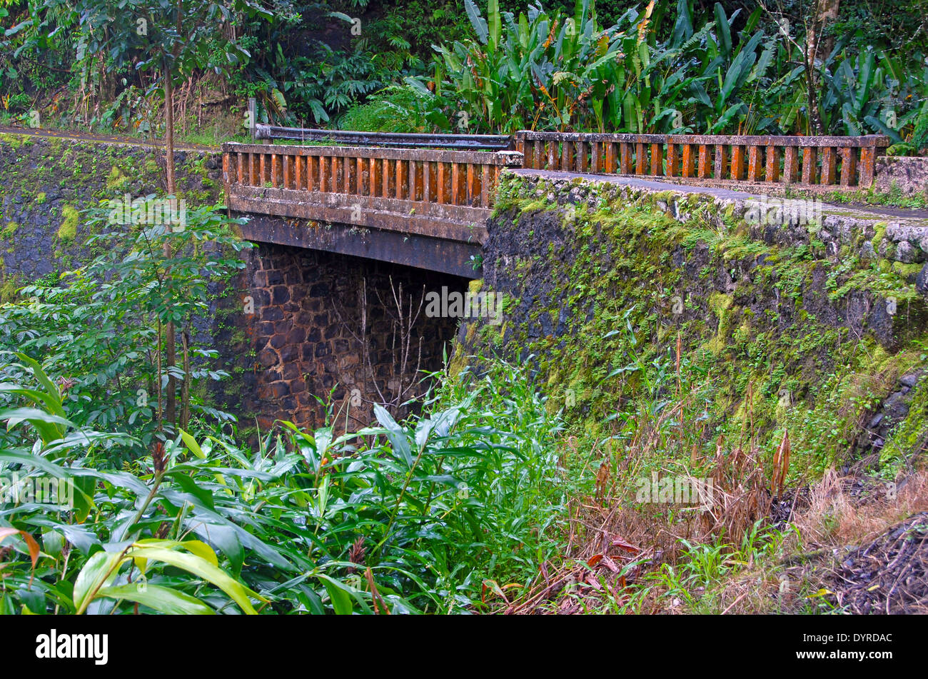 Bridge on Road to Maui, Hawaii Stock Photo - Alamy