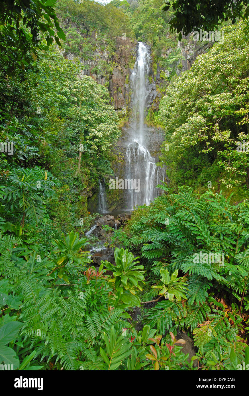 Remote waterfall in Hawaii Stock Photo - Alamy
