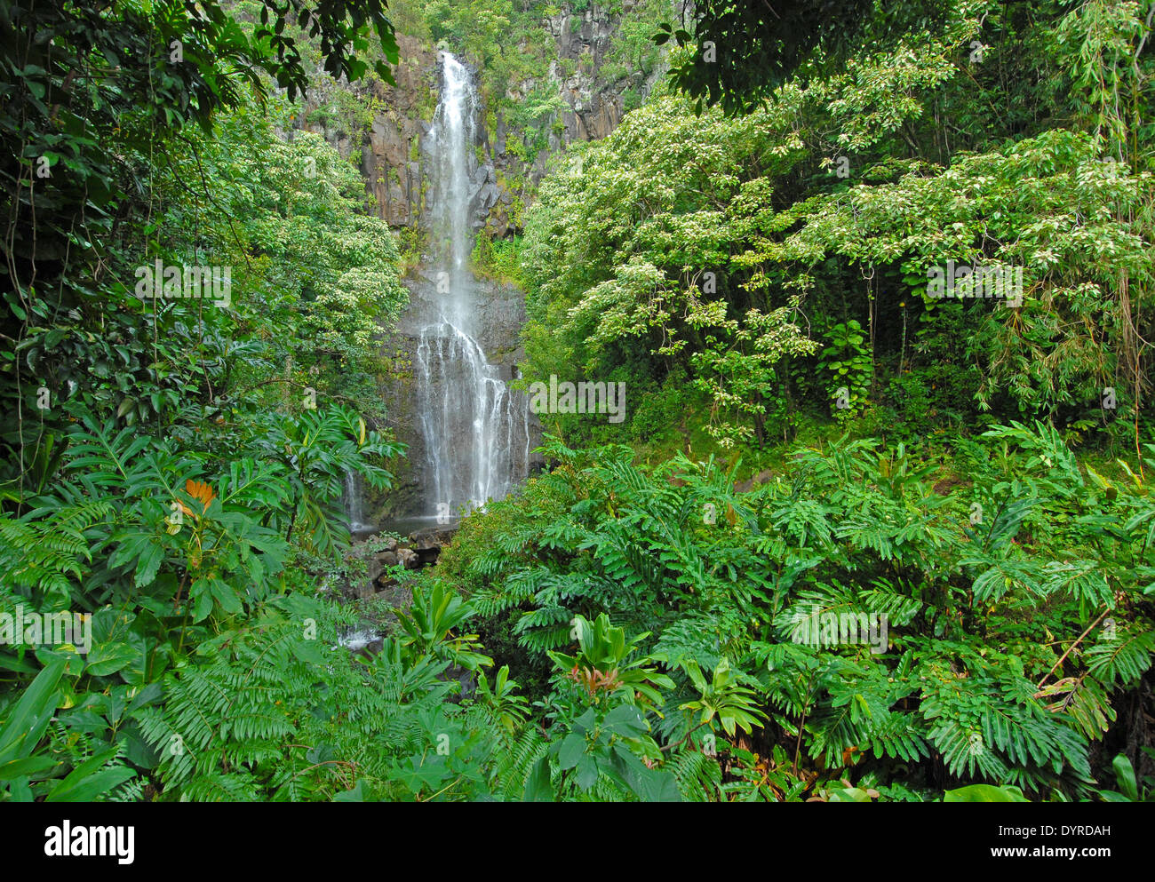 Remote waterfall in Hawaii Stock Photo - Alamy