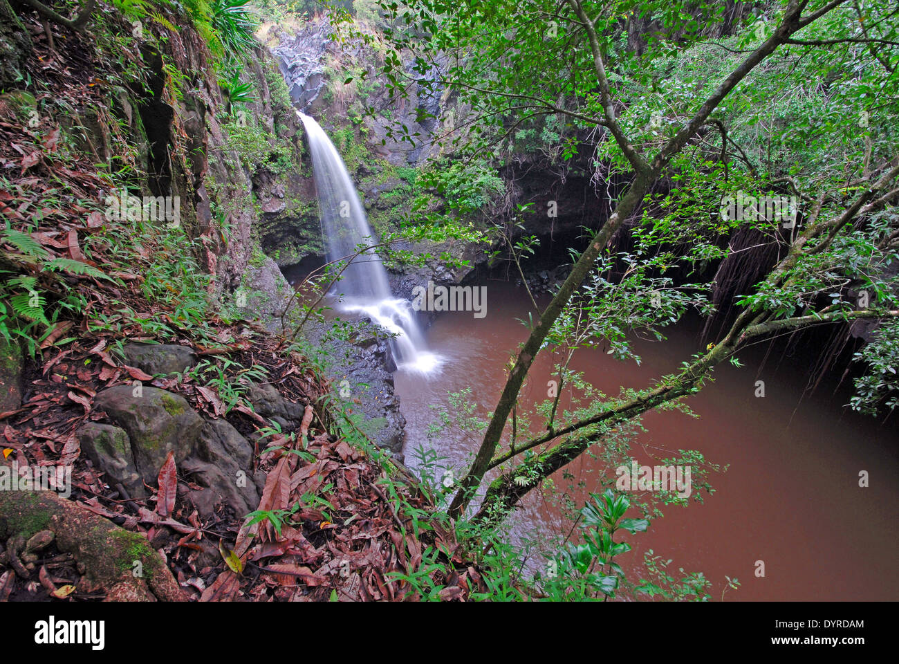 Remote waterfall in Hawaii Stock Photo - Alamy