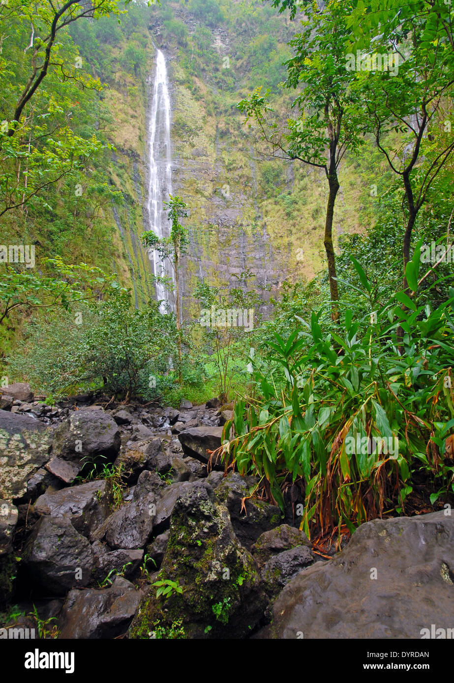 Remote waterfall in Hawaii Stock Photo - Alamy