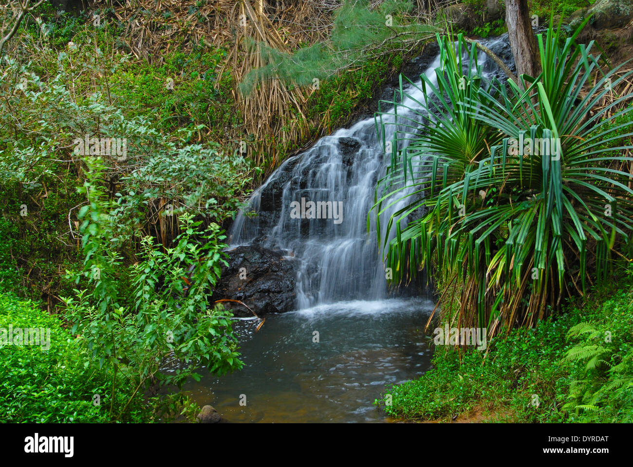 Hawaii Night Sky Observatory High Resolution Stock Photography and ...