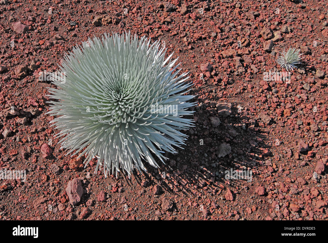 Sliding sands trail in Haleakala National Park, Maui, Hawaii Stock ...