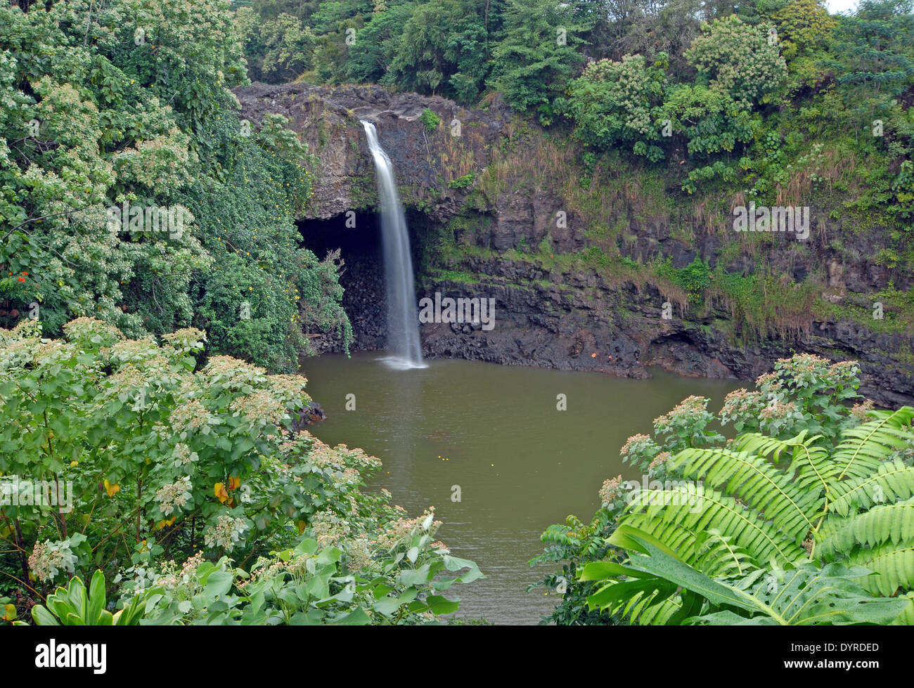 Remote waterfall in Hawaii Stock Photo - Alamy