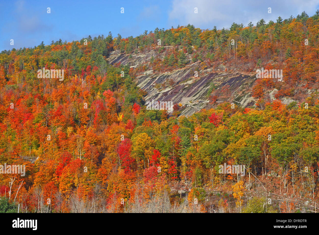 Fall foliage in the Adirondacks, New York Stock Photo - Alamy