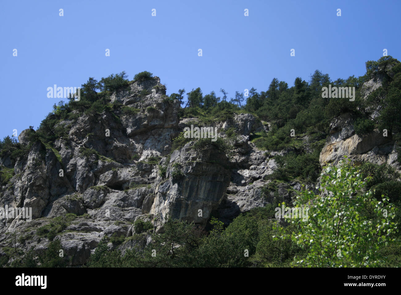 Savage rock, trees on its point Stock Photo - Alamy