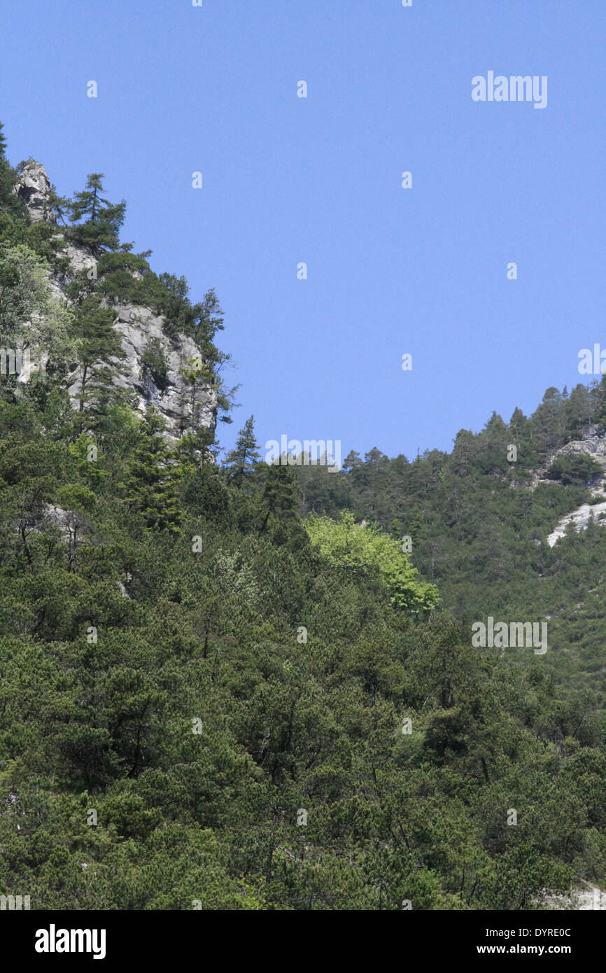 Savage rock, trees on its point Stock Photo - Alamy