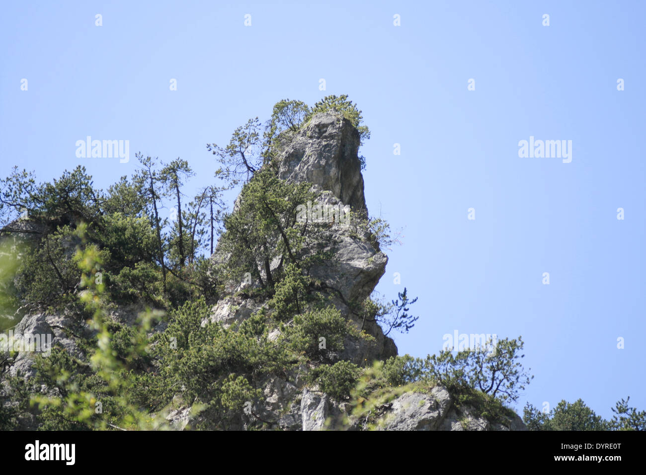 Savage rock, trees on its point Stock Photo - Alamy