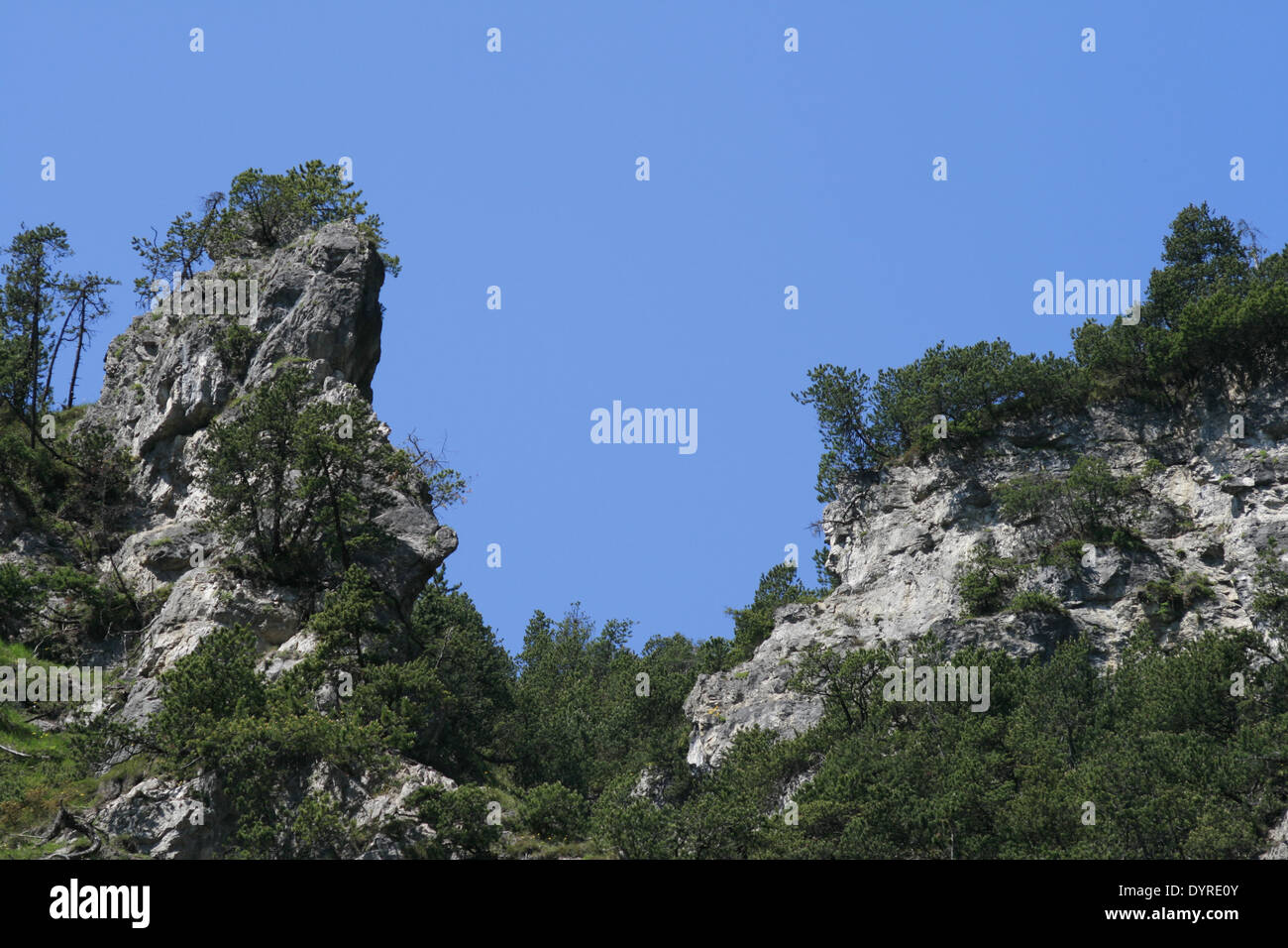 Savage rock, trees on its point Stock Photo - Alamy