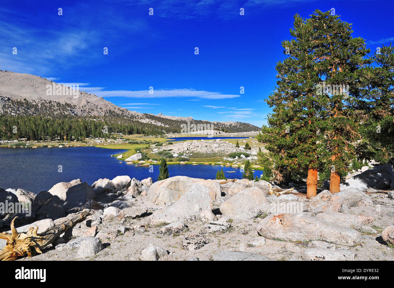 Sierra Nevada Mountains, California, USA Stock Photo - Alamy