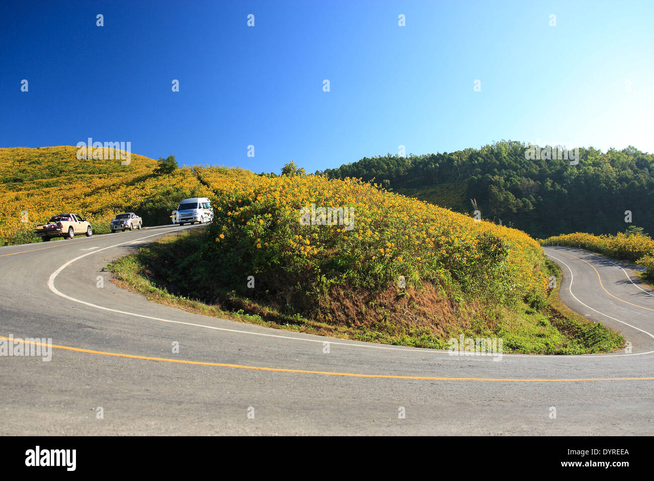 Thung Bau Thong Forest Park, Doi Mae U-Kor,Khum Yuam, Mae Hong Son ...