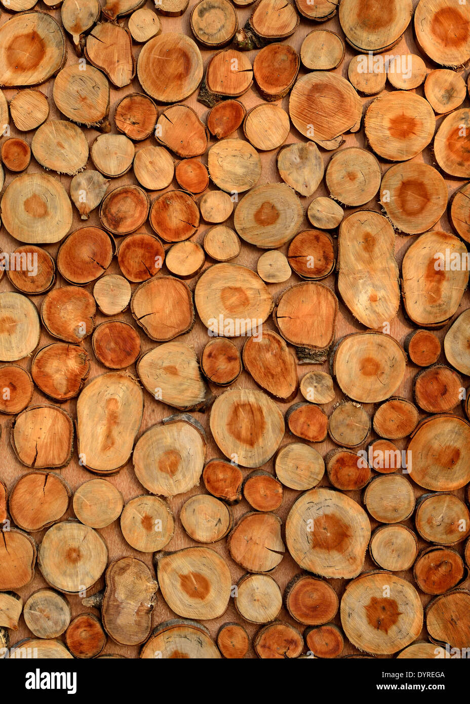 Timber log background Stock Photo - Alamy