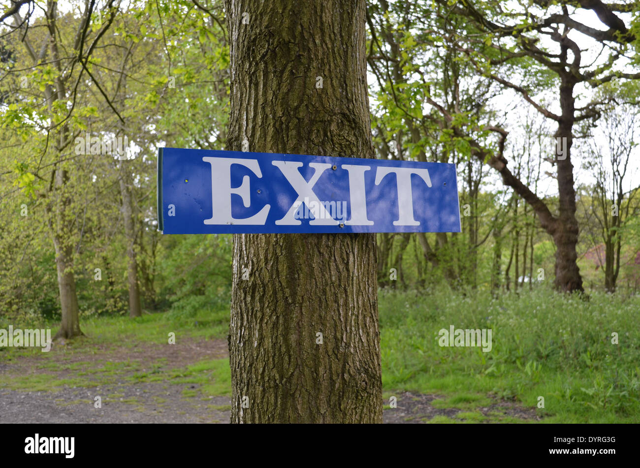 Sign attached to tree hi-res stock photography and images - Alamy